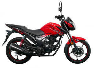 MOTOCICLETAS – Motores del Sur – Loncin